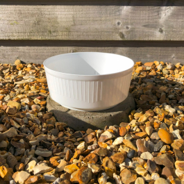 Buy White Bulb Bowls 2 Pack| Bedwen Plants