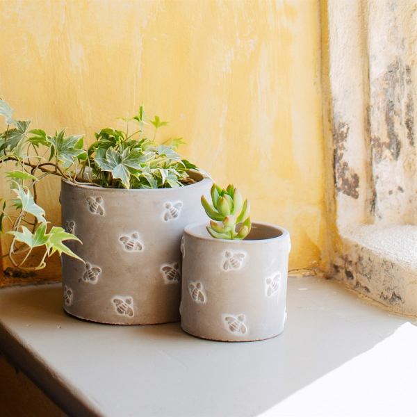 Queen Bee Cement Planter Set